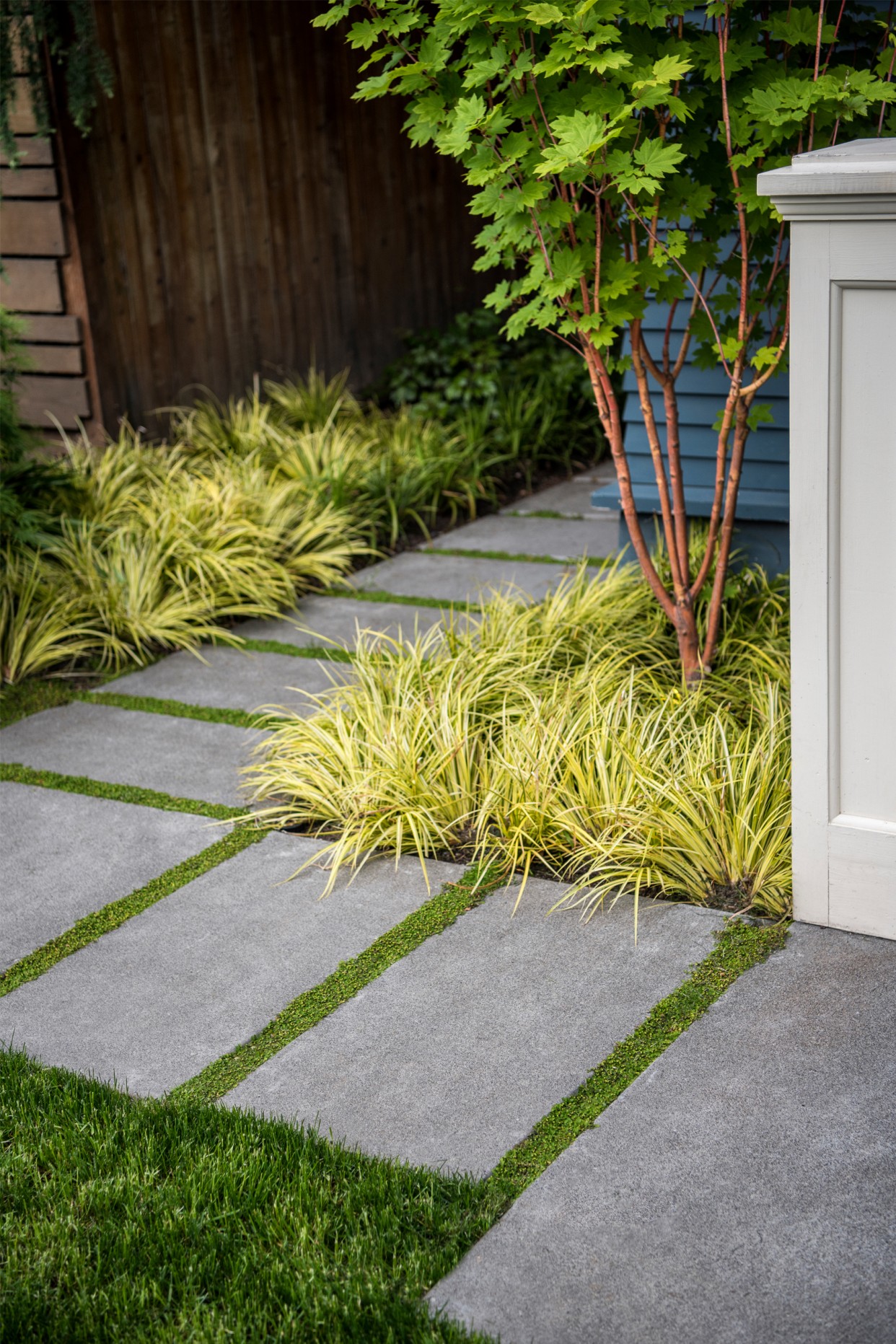 Capitol Hill Craftsman Landscape Design – Board & Vellum