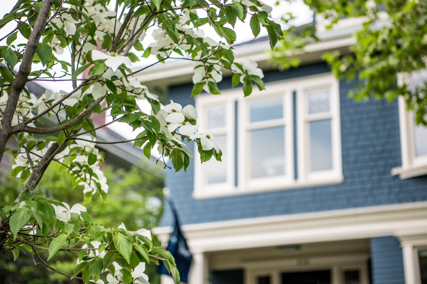 Environmentally Responsible Landscape Design – Board & Vellum