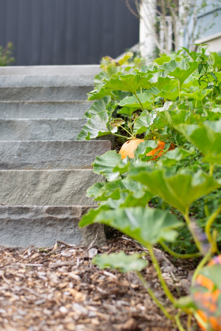 Your Guide To Raised Beds & Container Gardens – Board & Vellum