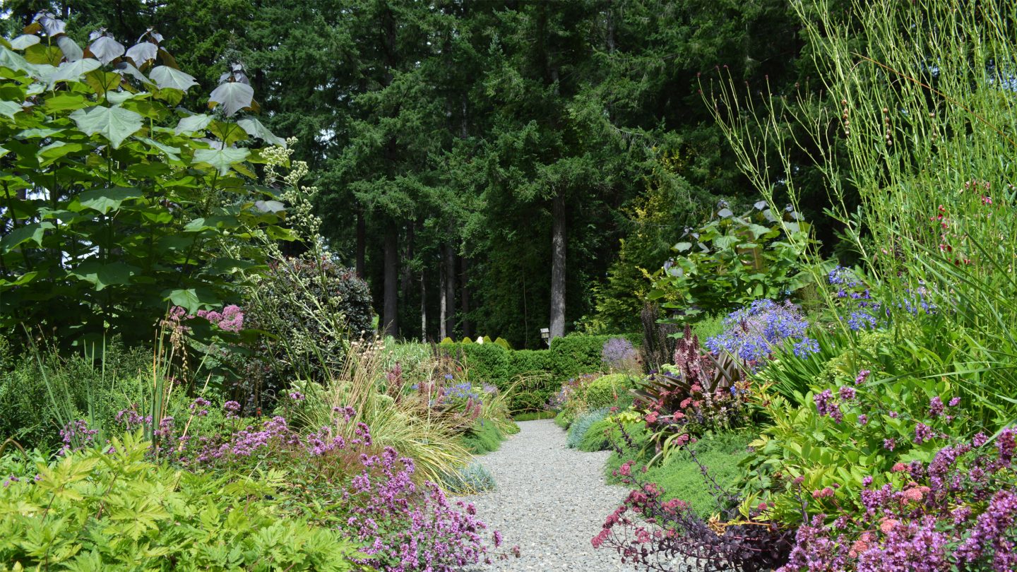 Creating Vibrant Layers in Your Garden – Board & Vellum