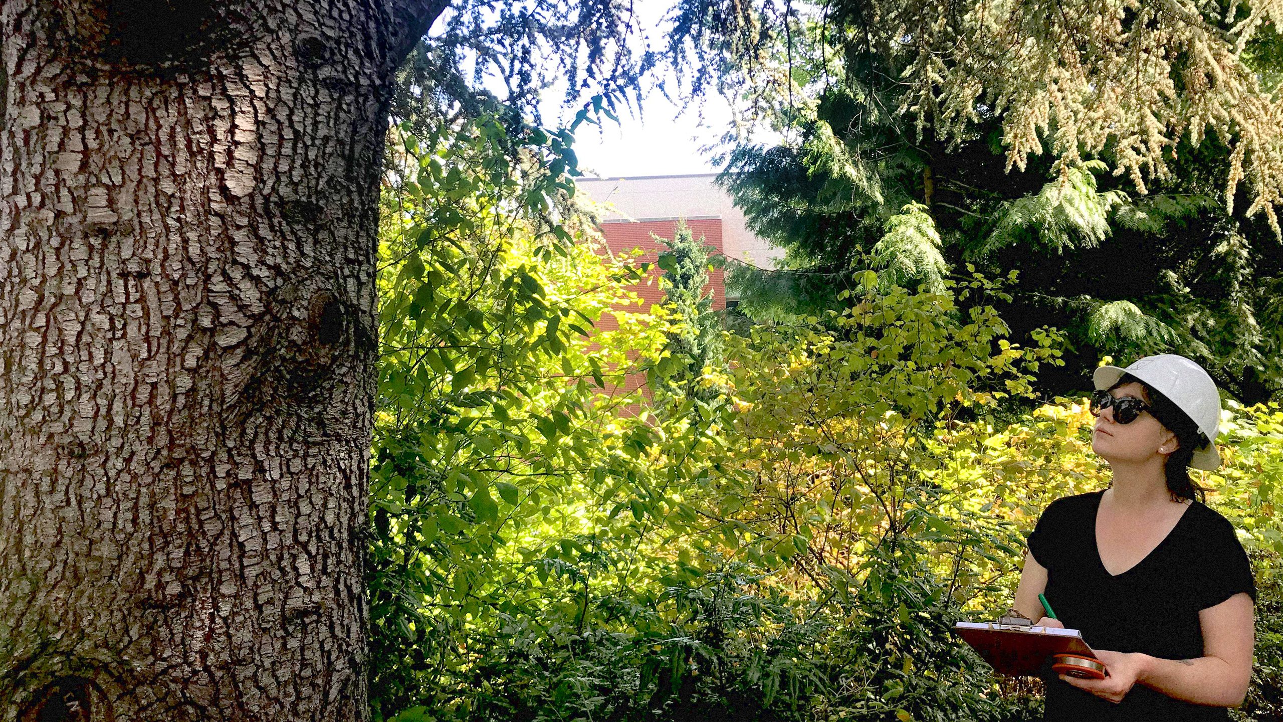 Hailey Mackay, Taylor McNeill, Author at Board & Vellum