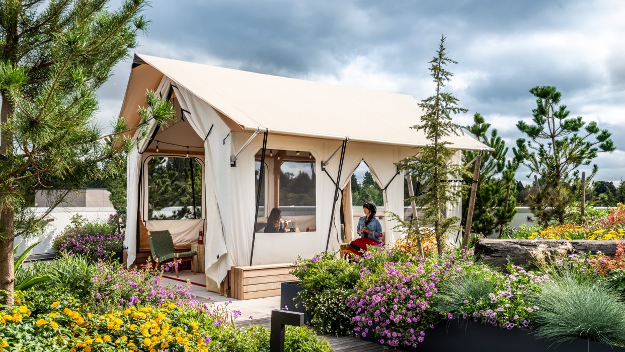 Landscape Details in an Urban Yard – Board & Vellum