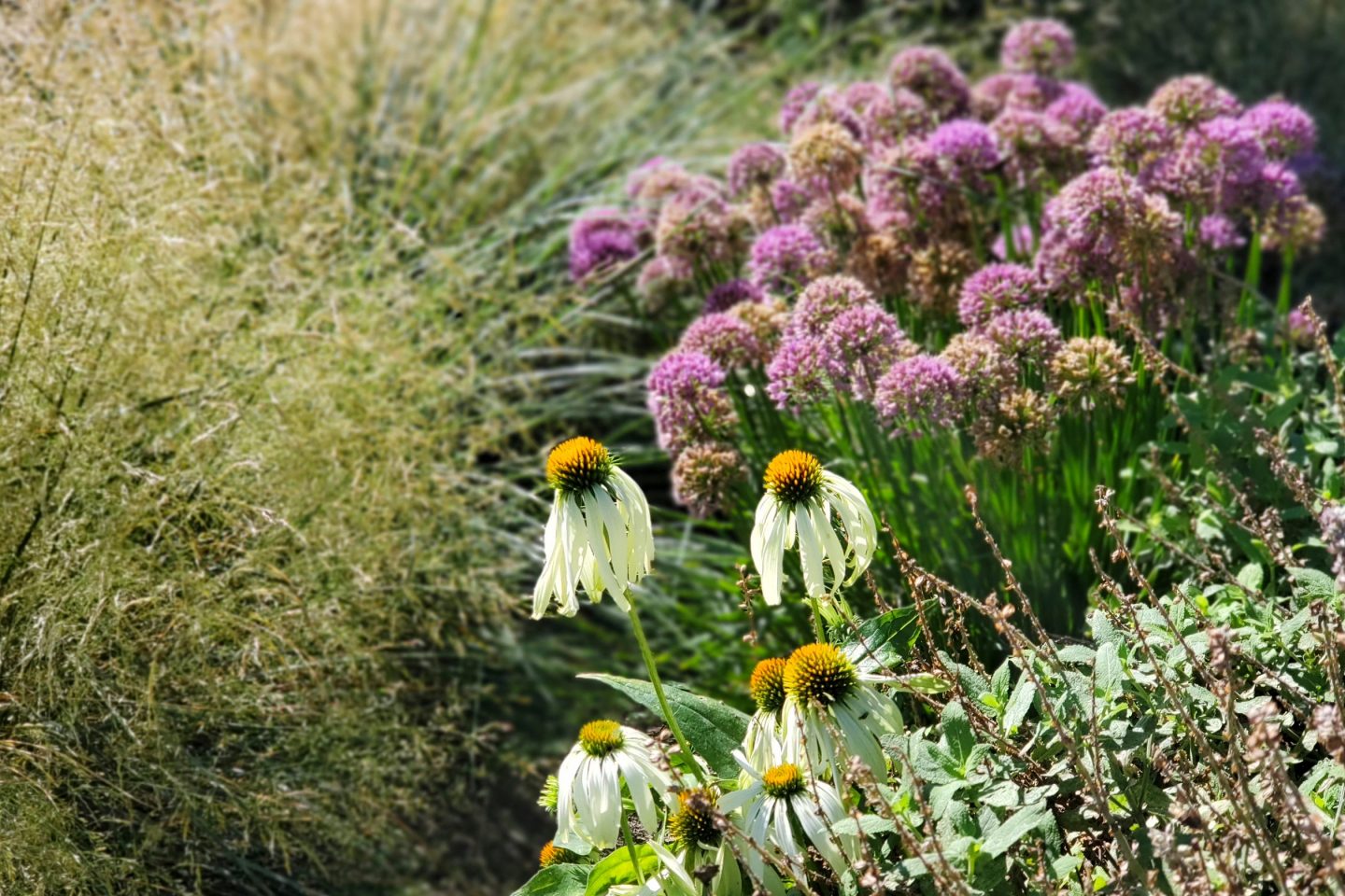 An Introduction to the Living Building Challenge – Board & Vellum