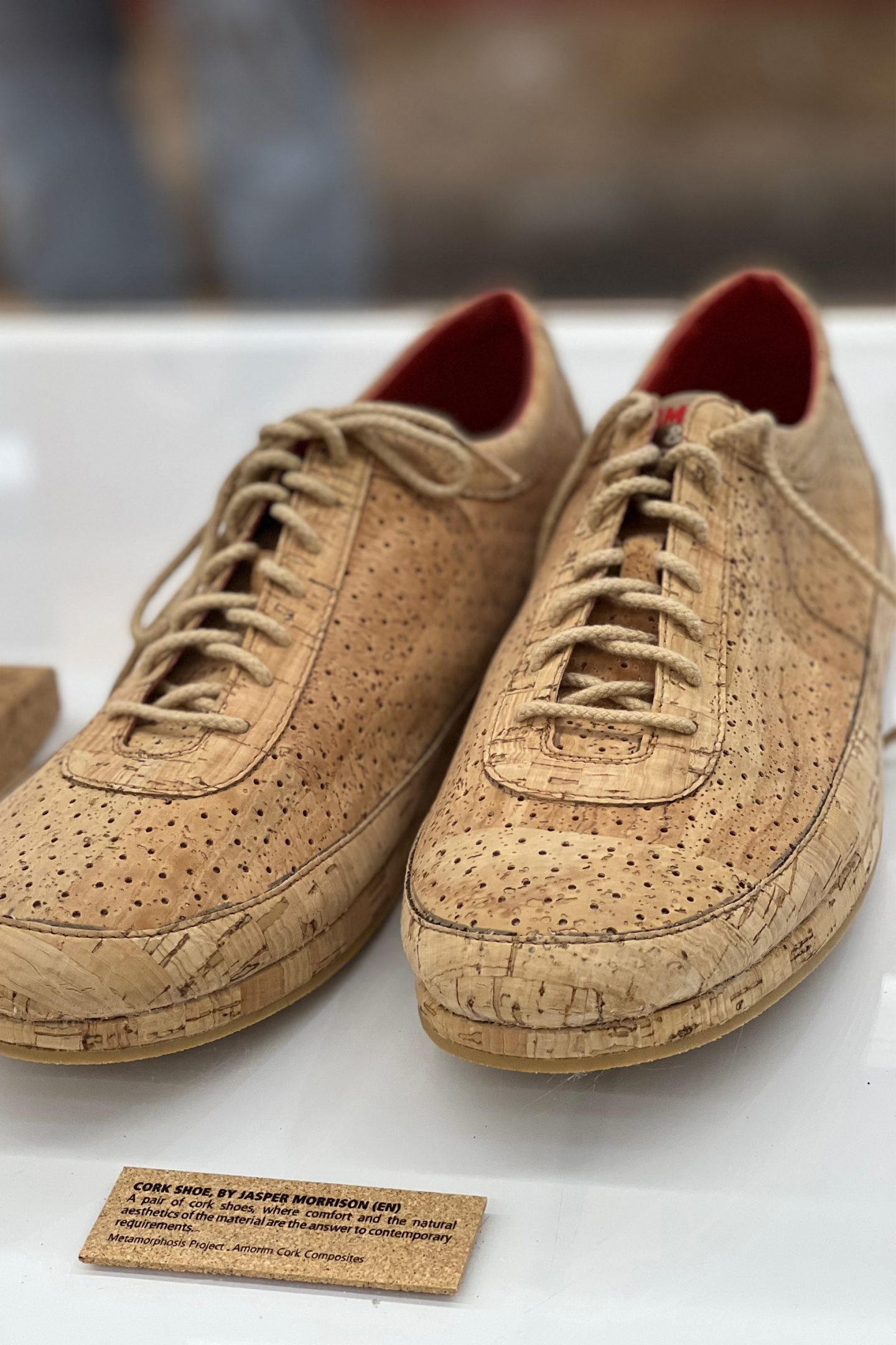 The Wonders of Cork as a Sustainable Material – Board & Vellum