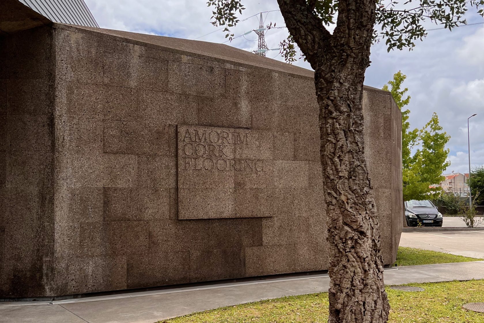 The Wonders of Cork as a Sustainable Material – Board & Vellum