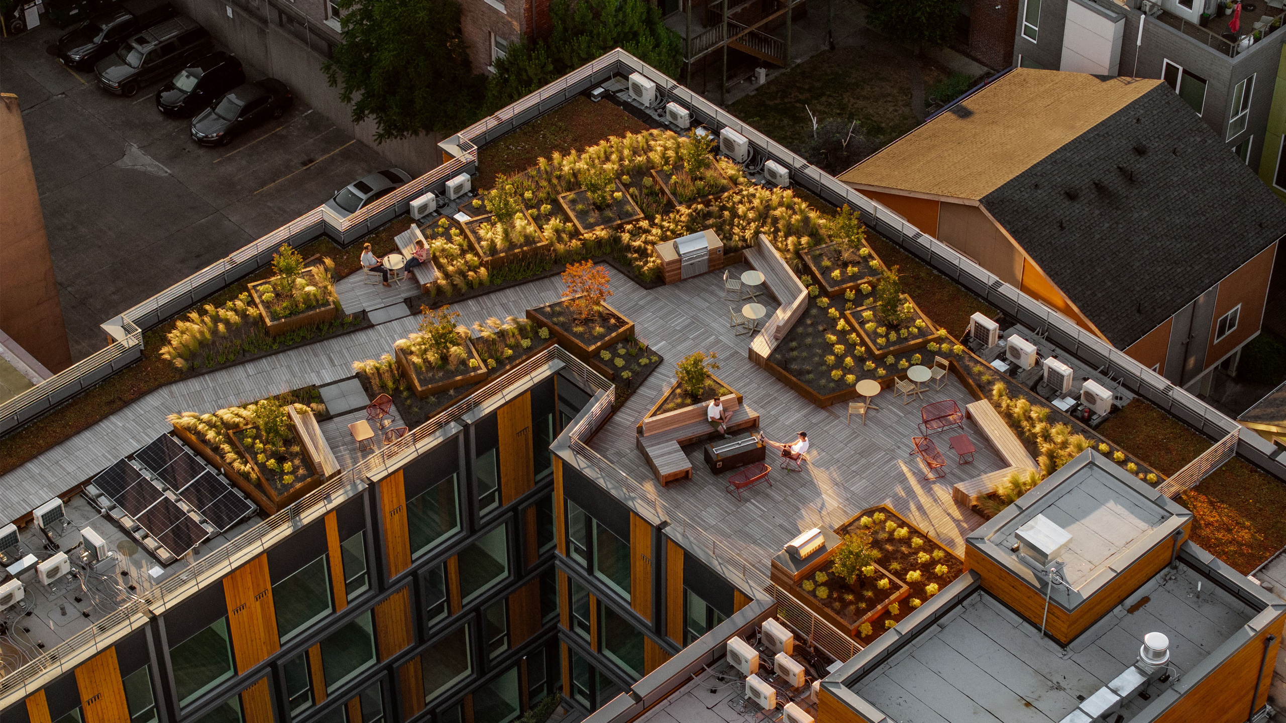 The Wilder: Site Design – Board & Vellum