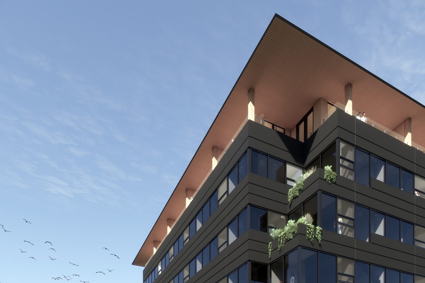 Queen Anne Commercial Conversion – Board & Vellum